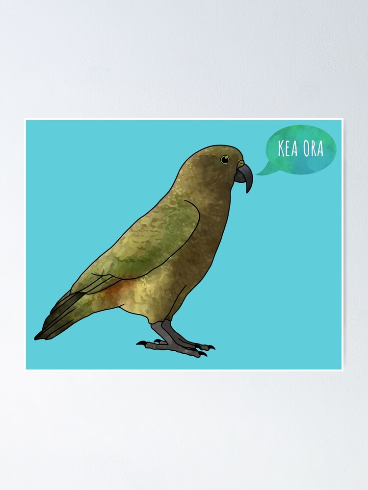 "Kea kea ora" Poster for Sale by Meowmaddie | Redbubble