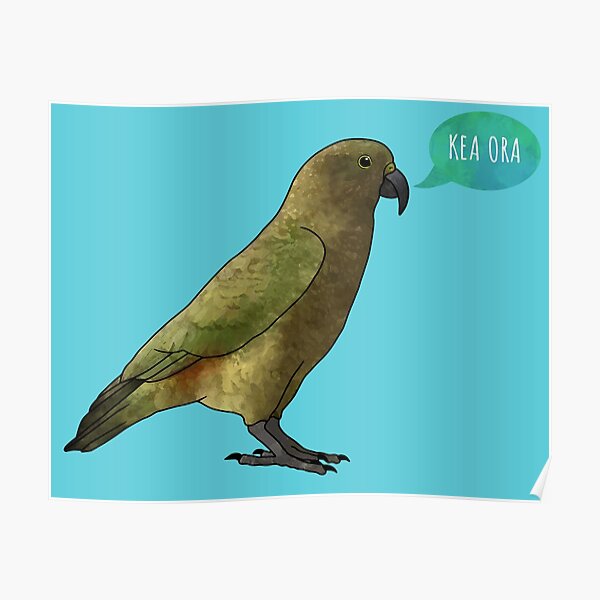 "Kea kea ora" Poster for Sale by Meowmaddie | Redbubble