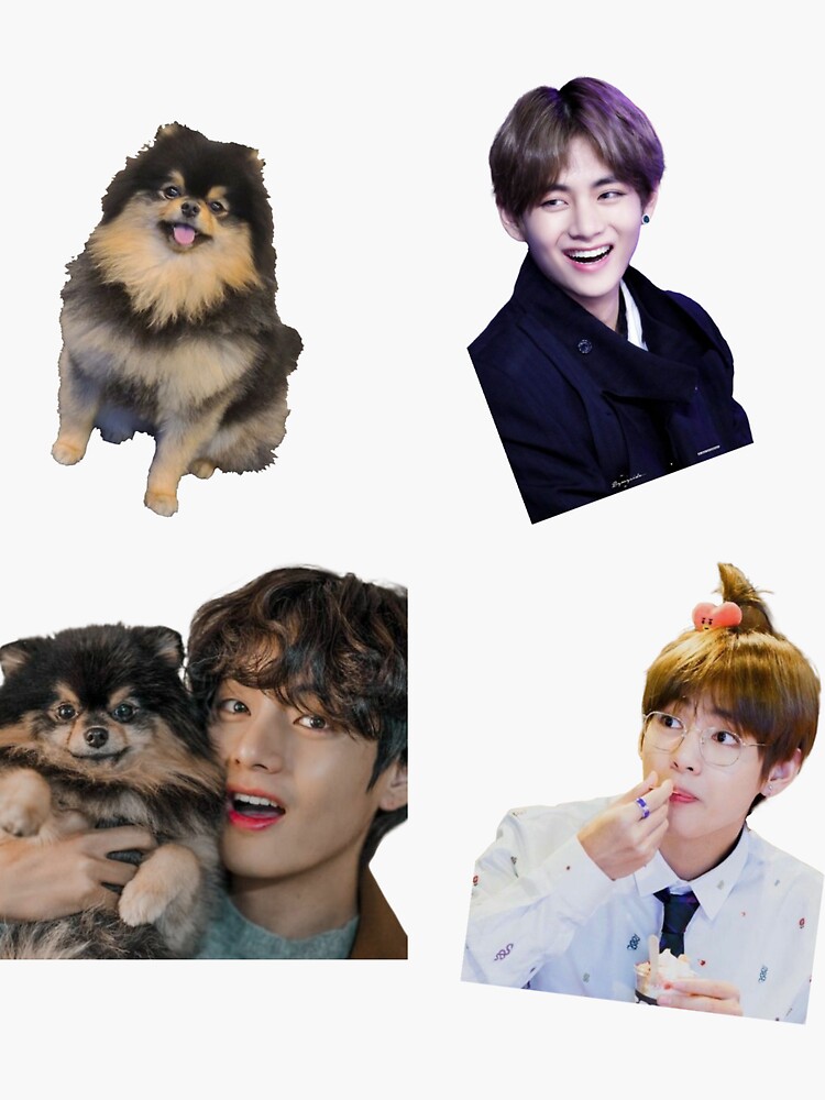 "sticker Kim Tehyung and Yeontan" Sticker for Sale by Hnna14dt | Redbubble