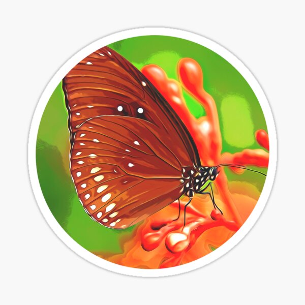 "Butterfly Painting, orange butterfly" Sticker by cesar514 | Redbubble