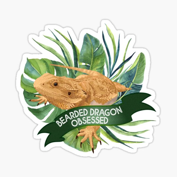 "Cute Bearded Dragon Obsessed Bearded Dragon Design - Bearded Dragon ...
