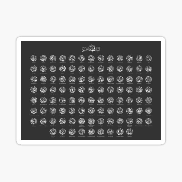 shathahammoudi Shop | Redbubble