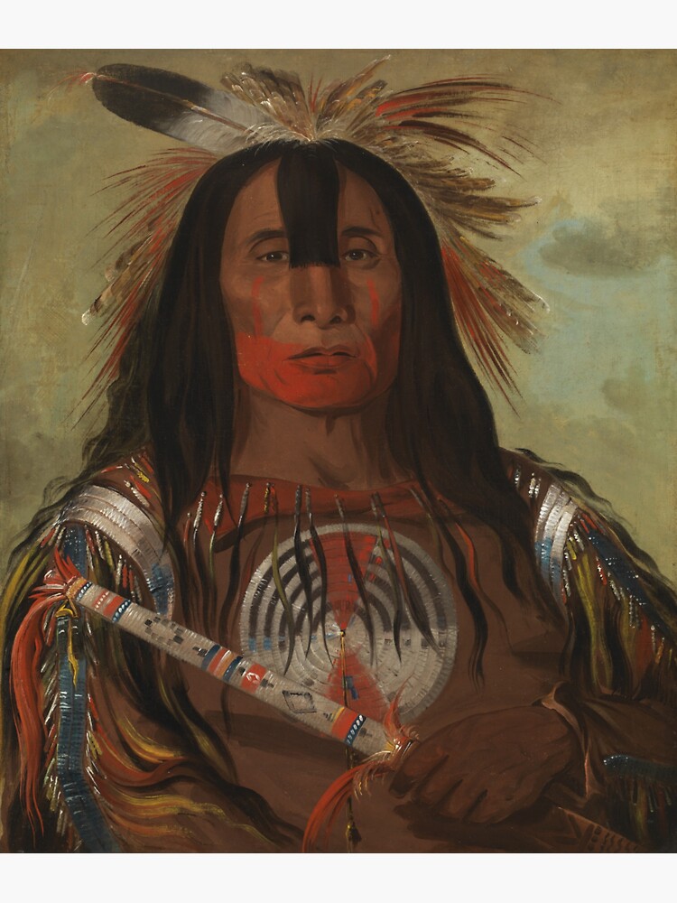 "Buffalo Bull's Back Fat " Sticker for Sale by romeobravado | Redbubble