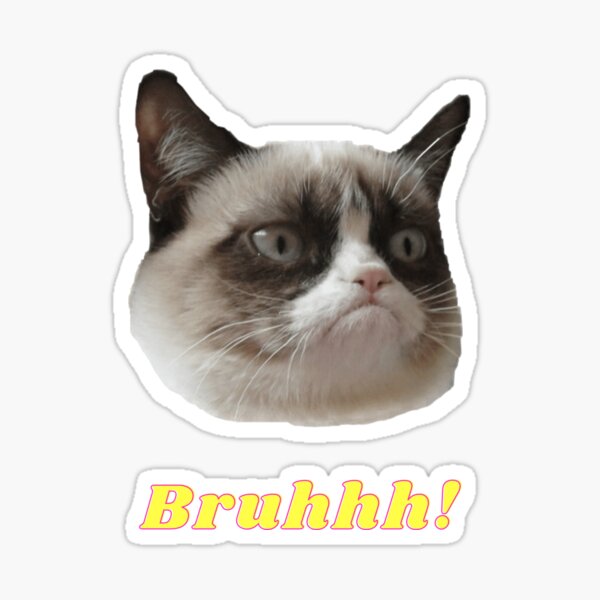 "Funny cat face " Sticker by Simohammed1998 | Redbubble