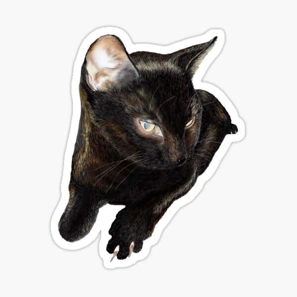"Lying cat Pi" Sticker for Sale by WaSabuArt | Redbubble