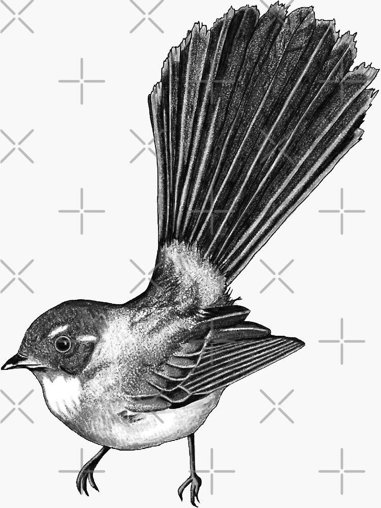 "Fan tail bird " Sticker for Sale by bonesofparadise | Redbubble