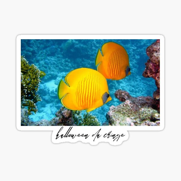 "halloween is cringe" Sticker for Sale by owoister | Redbubble