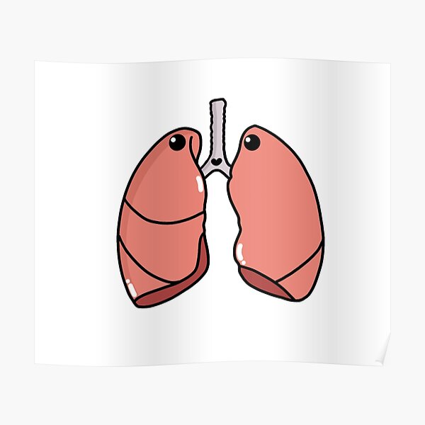 "Cute Smiling Lungs" Poster for Sale by KatherineWinner | Redbubble