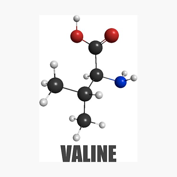Lámina fotográfica «Molécula de valina etiquetada» de ashleyhudson ...