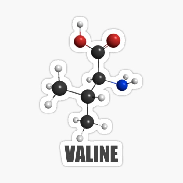 "Valine Molecule Labeled" Sticker for Sale by ashleyhudson | Redbubble