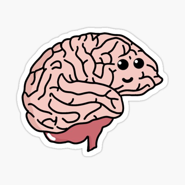 "Cute Smiling Brain" Sticker for Sale by KatherineWinner | Redbubble