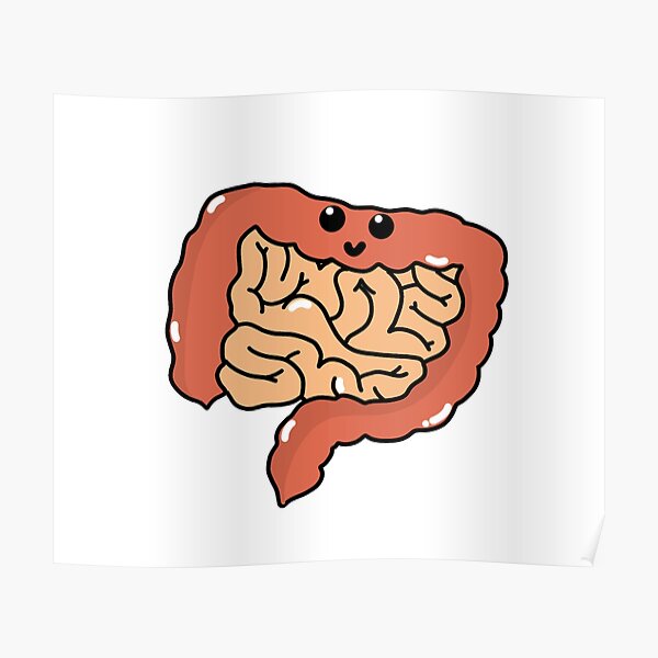 "Cute Smiling Intestines" Poster for Sale by KatherineWinner | Redbubble