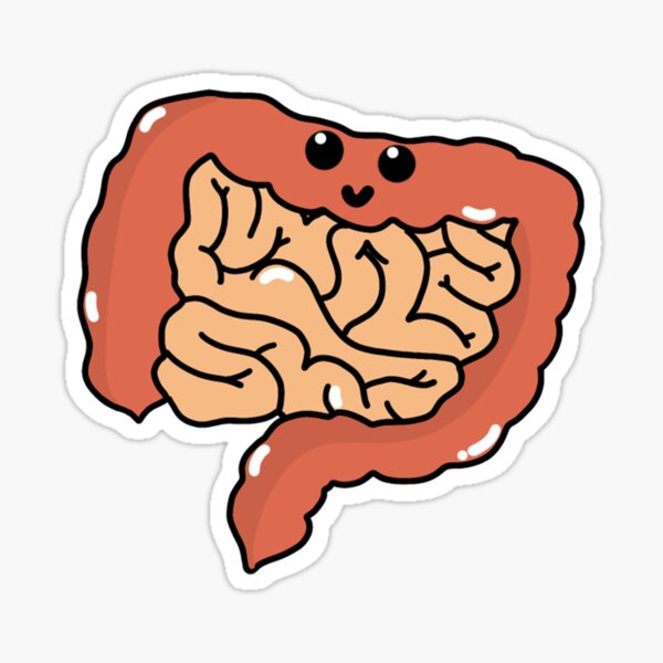 "Cute Smiling Intestines" Sticker for Sale by KatherineWinner | Redbubble
