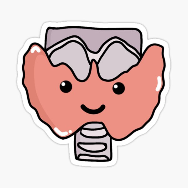 "Cute Smiling Thyroid" Sticker for Sale by Katherine Winner | Redbubble