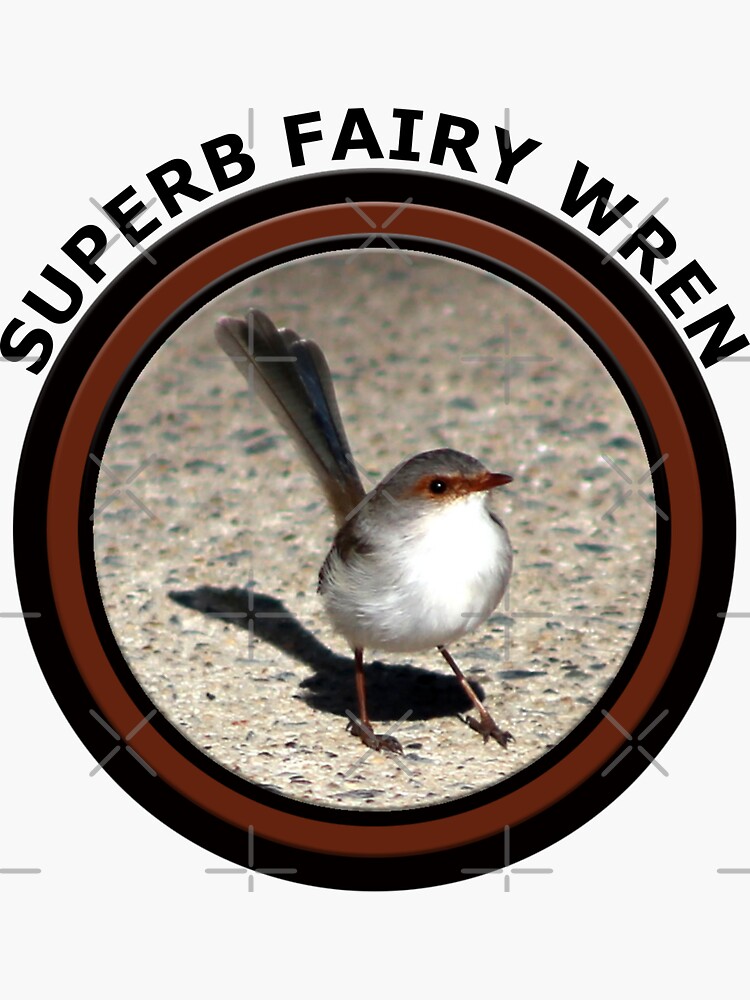 "Superb Fairy Wren" Sticker for Sale by STHogan2 | Redbubble
