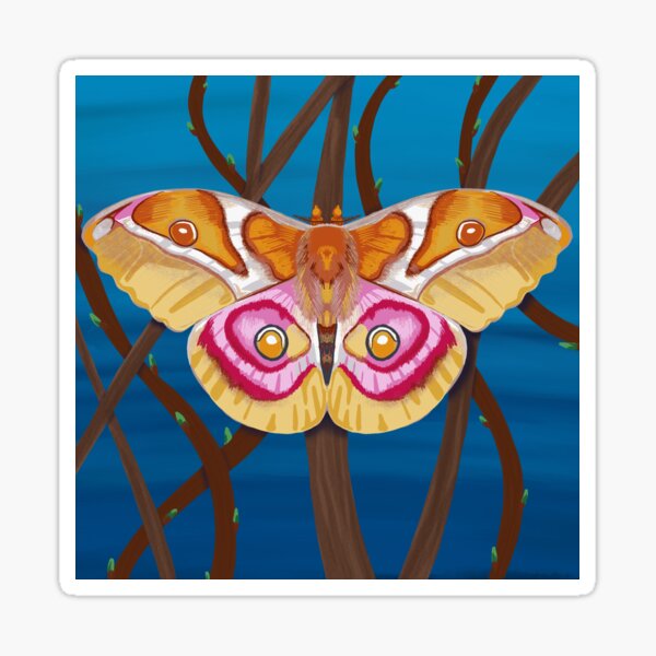 "Orange and Pink Moth" Sticker by TantaKatja | Redbubble