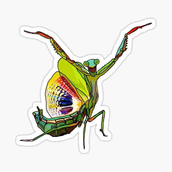 "Pride Mantis Sunset Orange" Sticker for Sale by b--e--x | Redbubble
