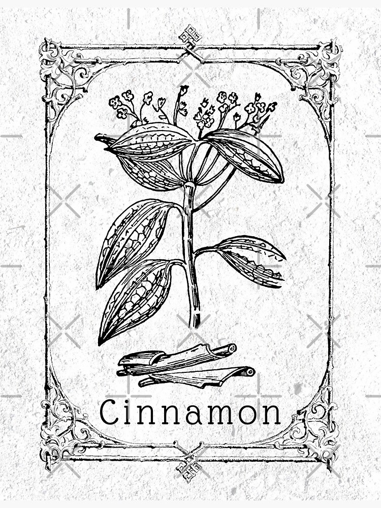 "Vintage Inspired Antique Apothecary Label - Cinnamon" Sticker for Sale ...