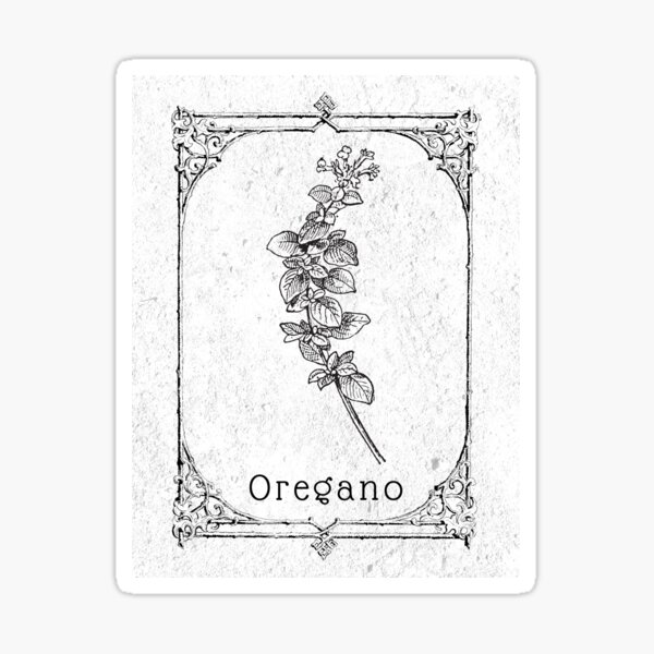 "Vintage Inspired Antique Apothecary Label - Oregano" Sticker for Sale ...