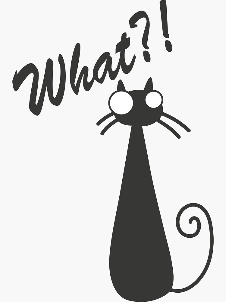"Shocked Surprised Cat Meme Cute Collection" Sticker for Sale by ...