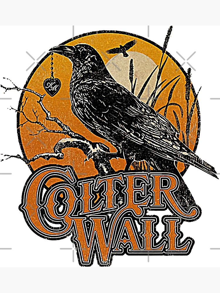 Colter Wall Singer Songwriter Deep Baritone Composing Narratives ...