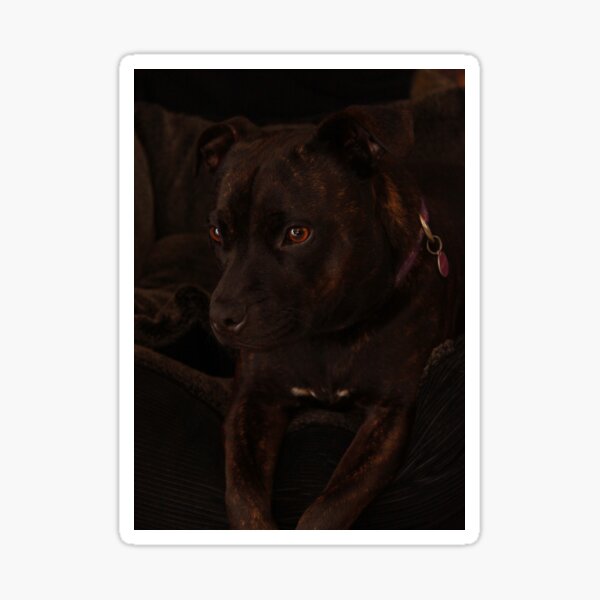 "Milly's Portrait" Sticker by Evita | Redbubble
