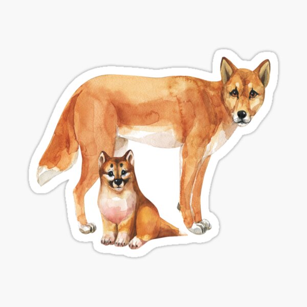 "Cute dingo dog animals" Sticker for Sale by Grandtopshop | Redbubble