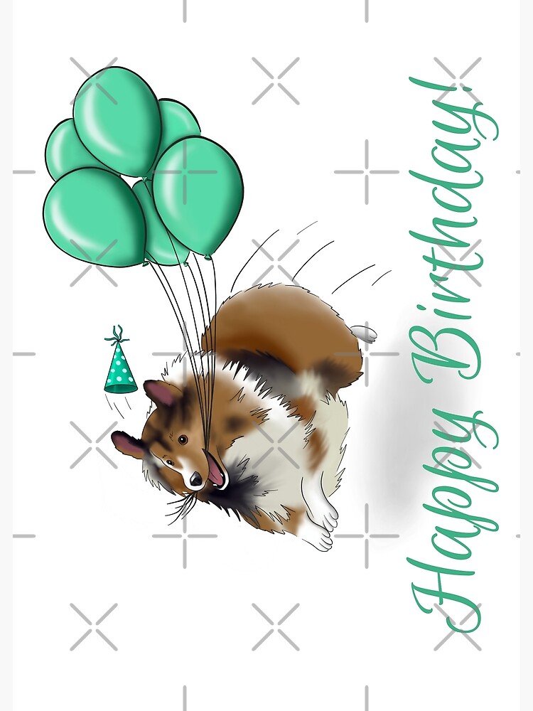 "Happy Birthday Sheltie Holding Teal Balloons | Shetland Sheepdog ...
