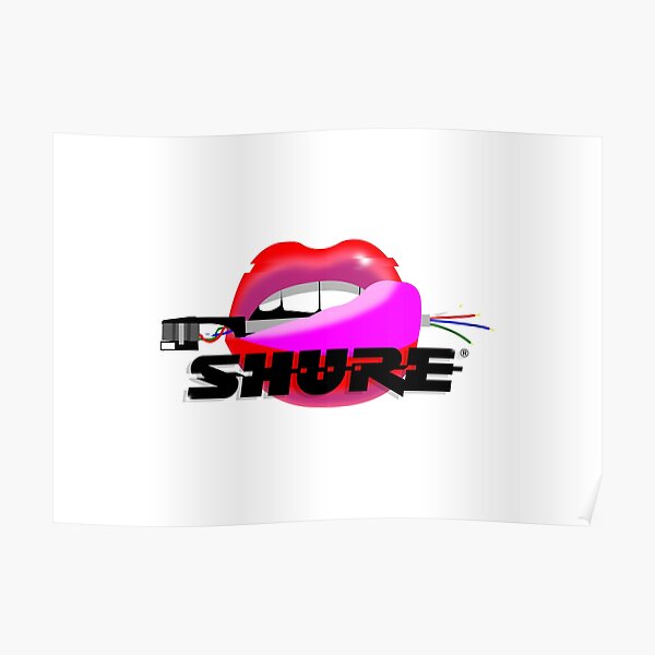 "Turntablist" Poster for Sale by modelcat | Redbubble