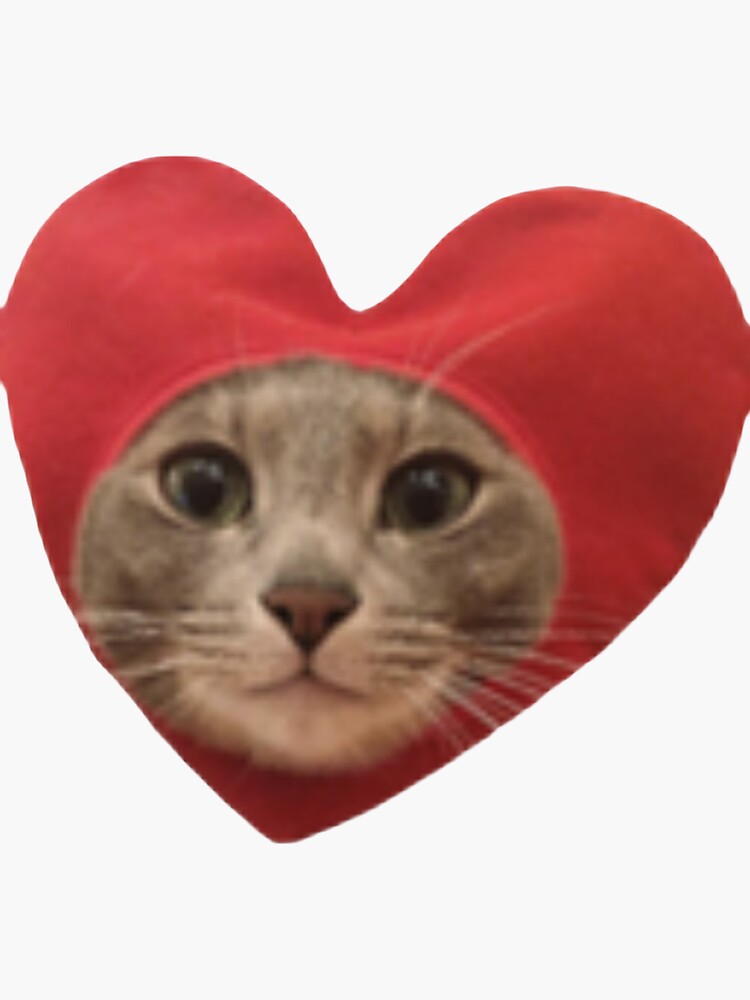 "cat love meme" Sticker for Sale by xoxoStore | Redbubble
