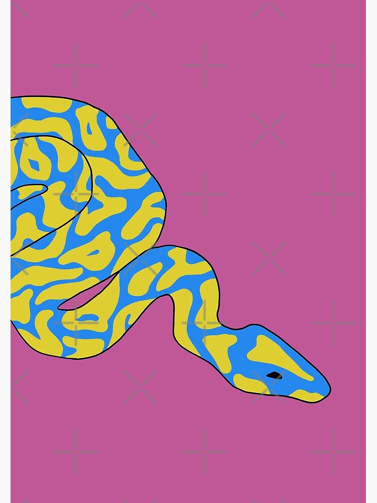 "pride snake, pan flag snek [undercover pride]" Poster for Sale by ...