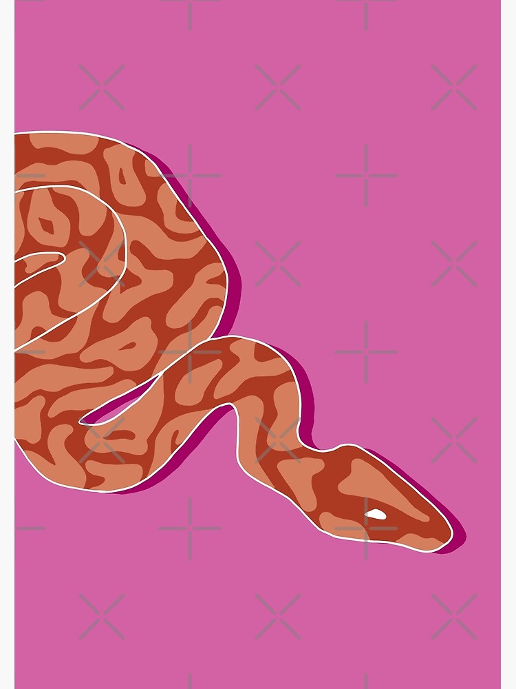 "pride snake, lesbian flag snek [undercover pride]" Photographic Print ...