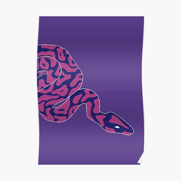"pride snake, bisexual flag snek [undercover pride]" Poster for Sale by ...
