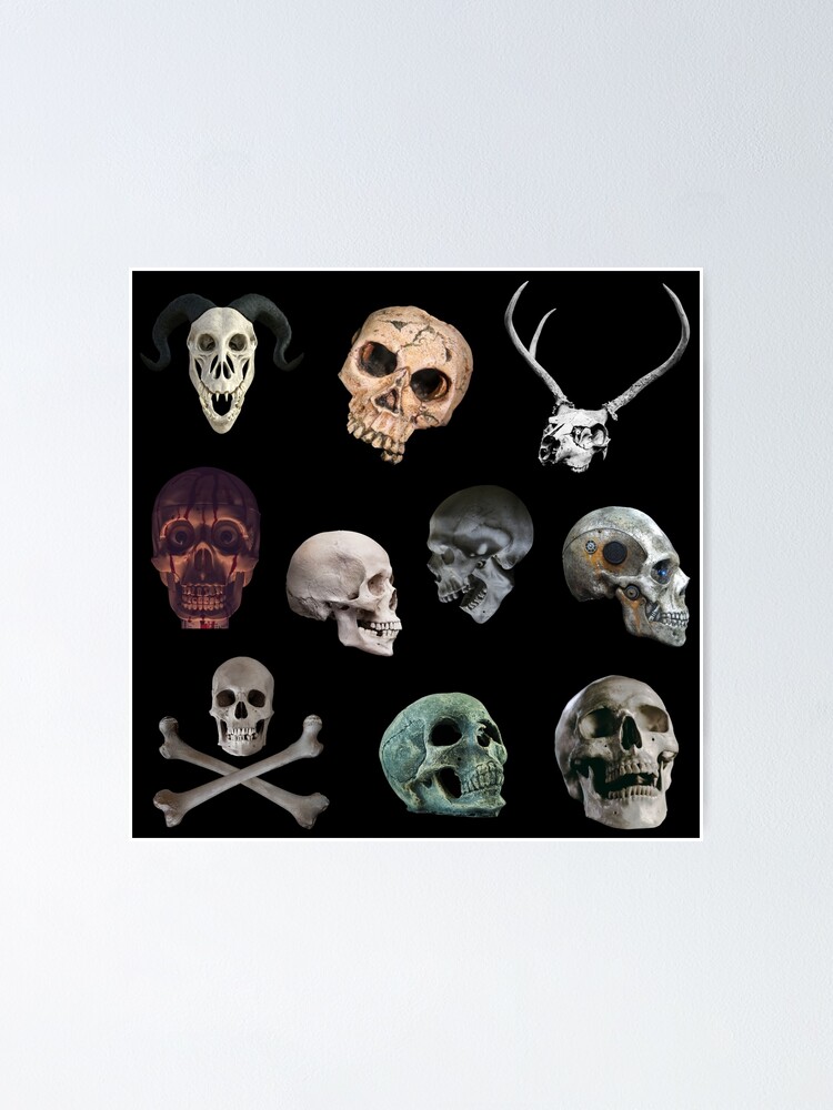 "Skull Sticker Pack" Poster for Sale by tuxedokitty | Redbubble