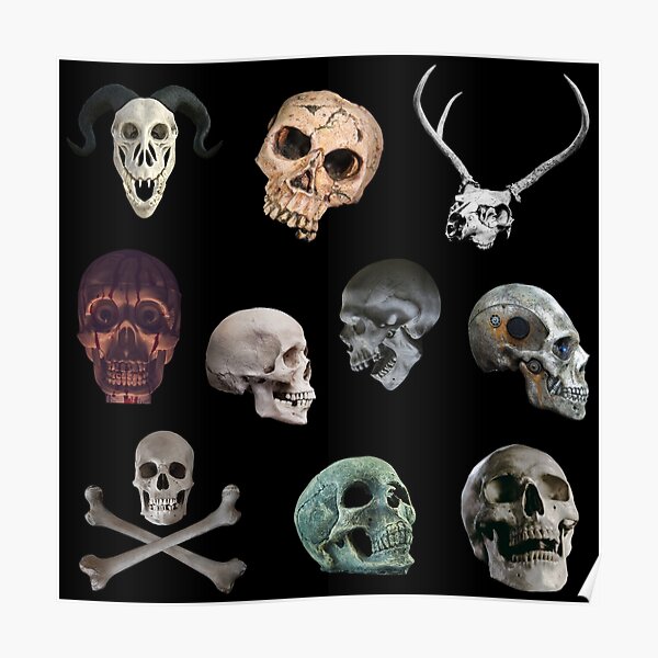 "Skull Sticker Pack" Poster for Sale by tuxedokitty | Redbubble