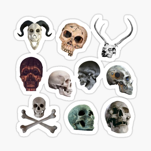 "Skull Sticker Pack" Sticker for Sale by tuxedokitty | Redbubble