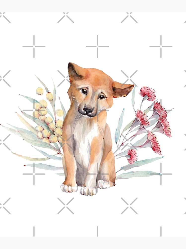 "Watercolor dingo dog wildlife flower of Australia " Poster for Sale by ...