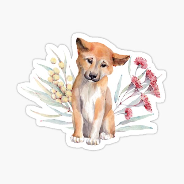 Dingo Gifts & Merchandise | Redbubble