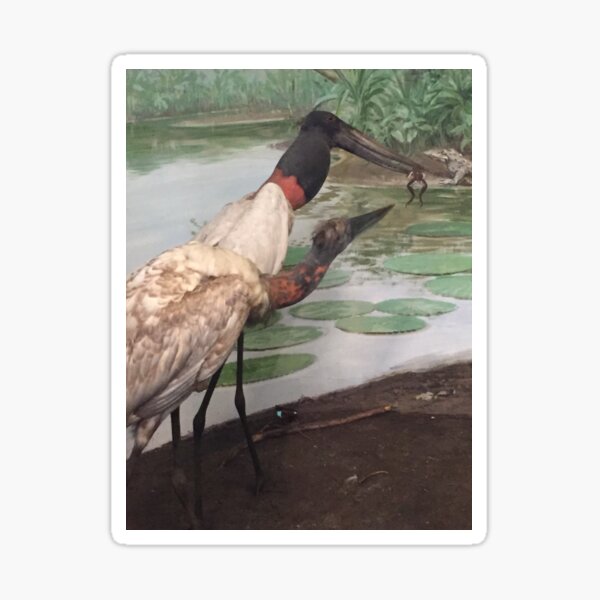 Storks Merch & Gifts for Sale | Redbubble