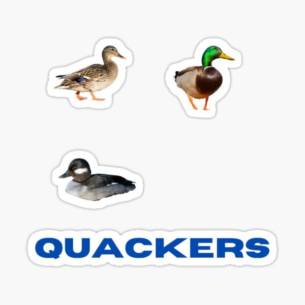 Duck Decal Compliments the Duck Me Badge DUCK ONLY Paper & Party ...