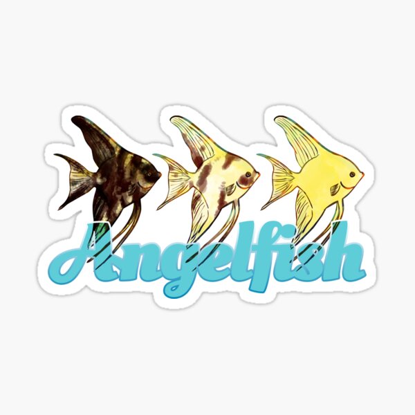 "Angelfish" Sticker for Sale by quizozi | Redbubble