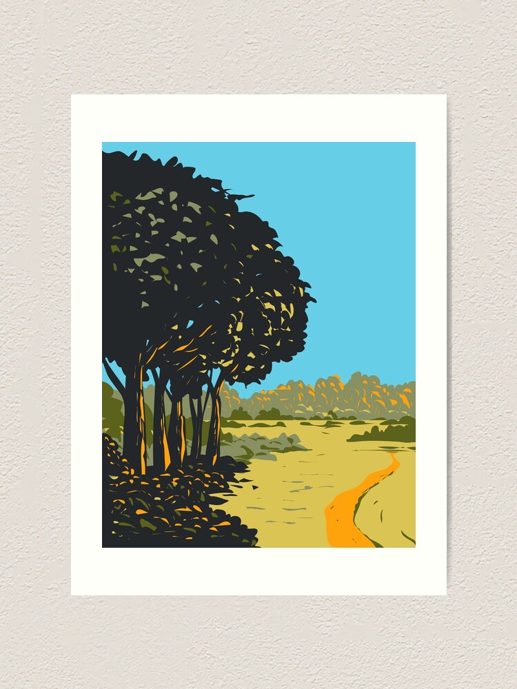 "Heathland and Forest Trails in New Forest Located Within New Forest ...