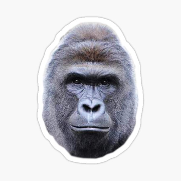 "Harambe" Sticker by BoxCult | Redbubble
