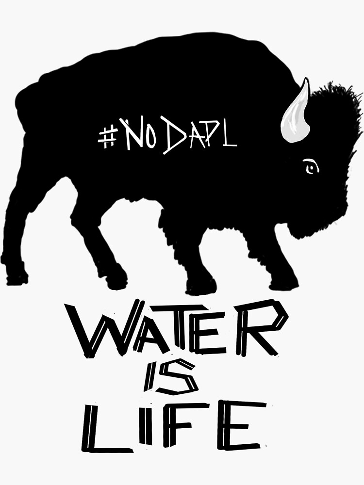 "Water Is Life" Sticker for Sale by SarahRRunge | Redbubble