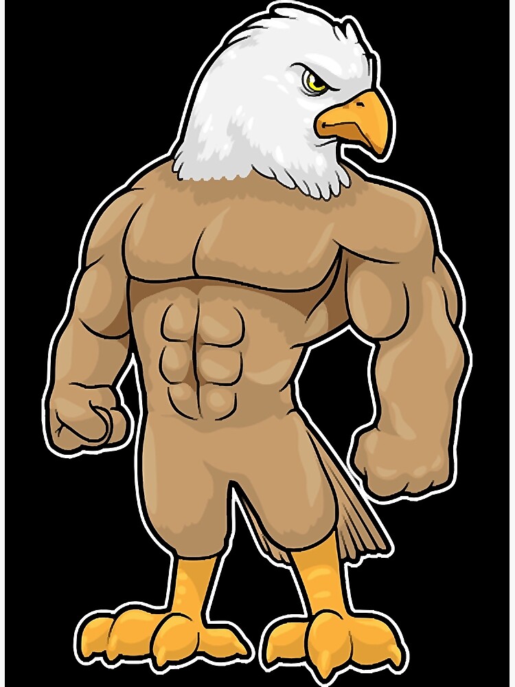 "Hawk as Bodybuilder with Six pack " Poster for Sale by Garrard32 ...