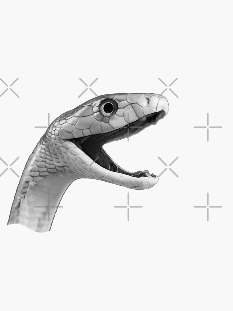 "black mamba deadly snake, Dendroaspis polylepis" Sticker by ...