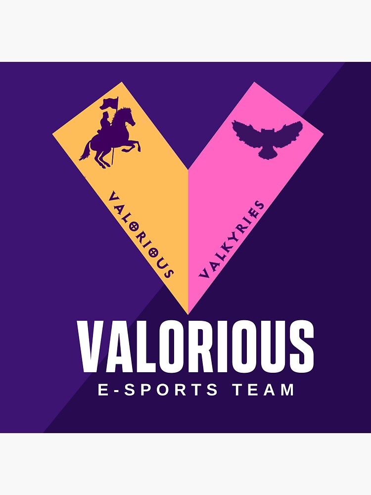 "NewWest Esports Team - Valorious | Valkyries - Campaign" Sticker for ...