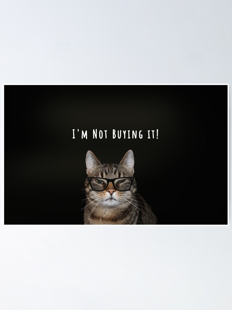 "I'm not buying it | Doubtful cat" Poster for Sale by crazyzoo | Redbubble