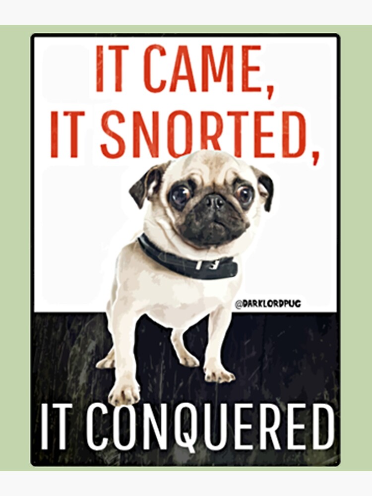 "It came, it snorted, it conquered" Poster by MazeCustom1 | Redbubble