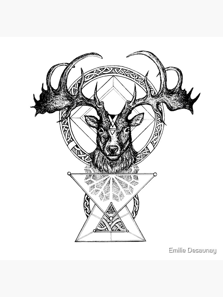 "The Irish Deer" Photographic Print for Sale by emilie-desaunay | Redbubble